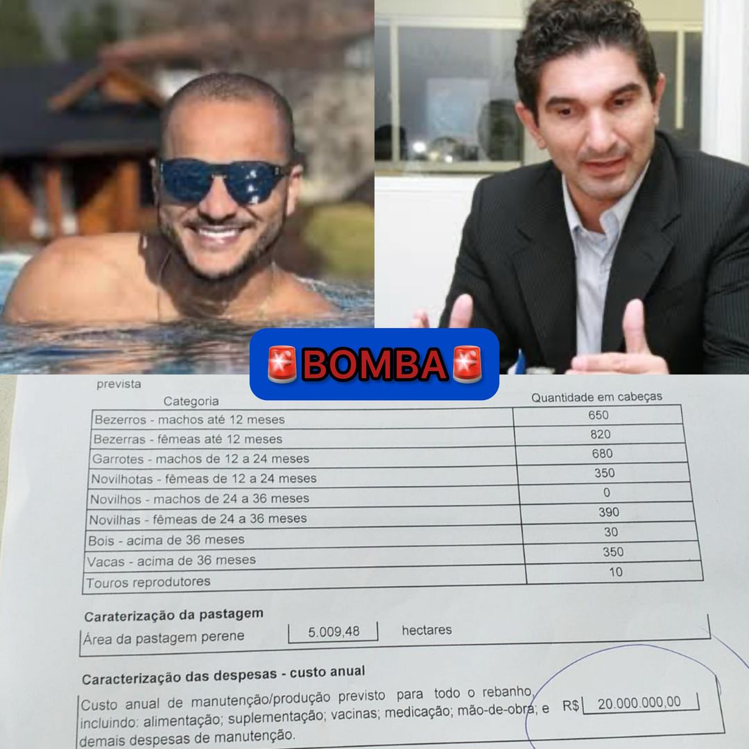 Empresário e pré-candidato a prefeito de São Luís, Alessandro Martins ...